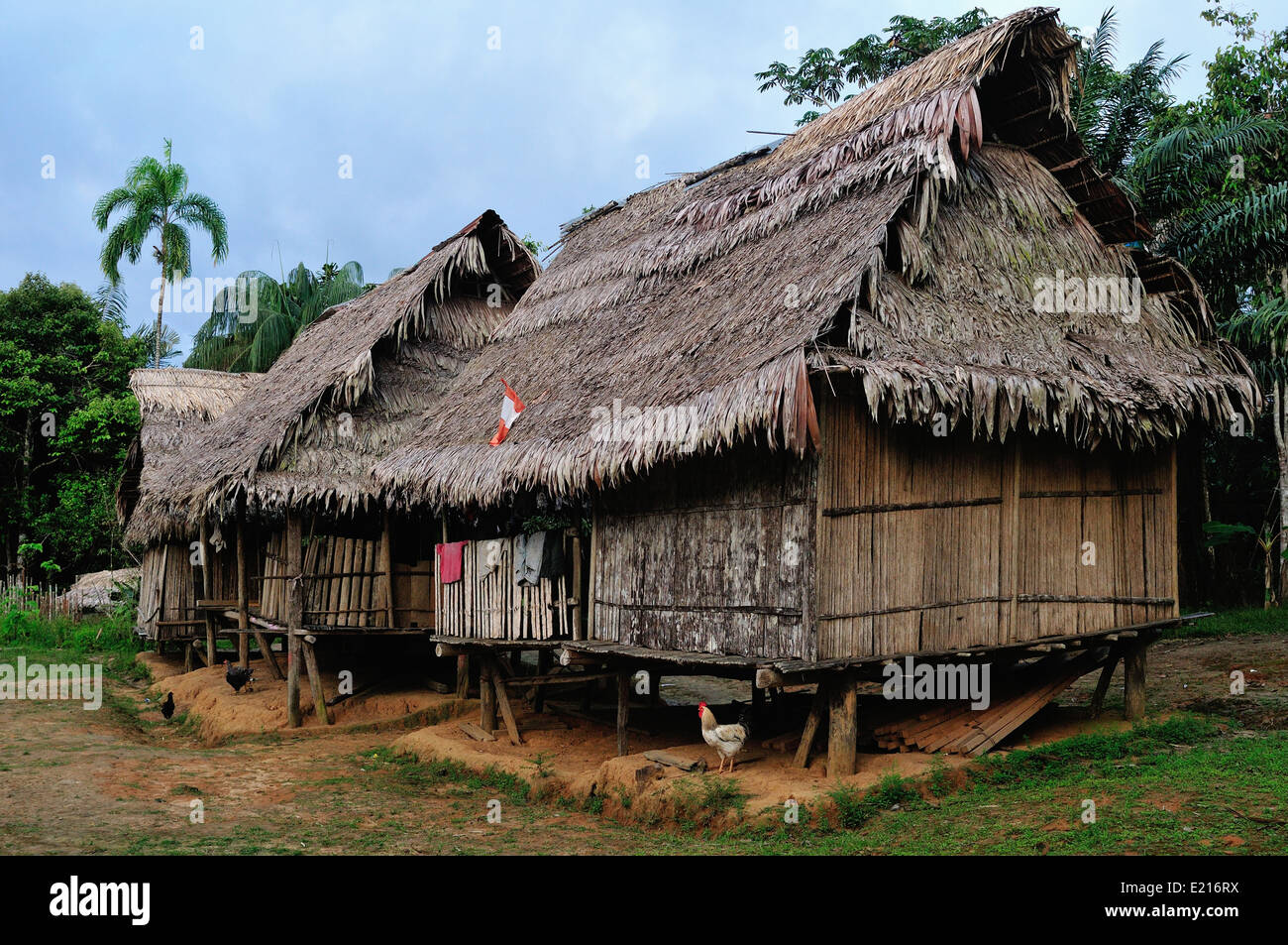 Traditional house in Industria - PANGUANA . Department of Loreto .PERU ...