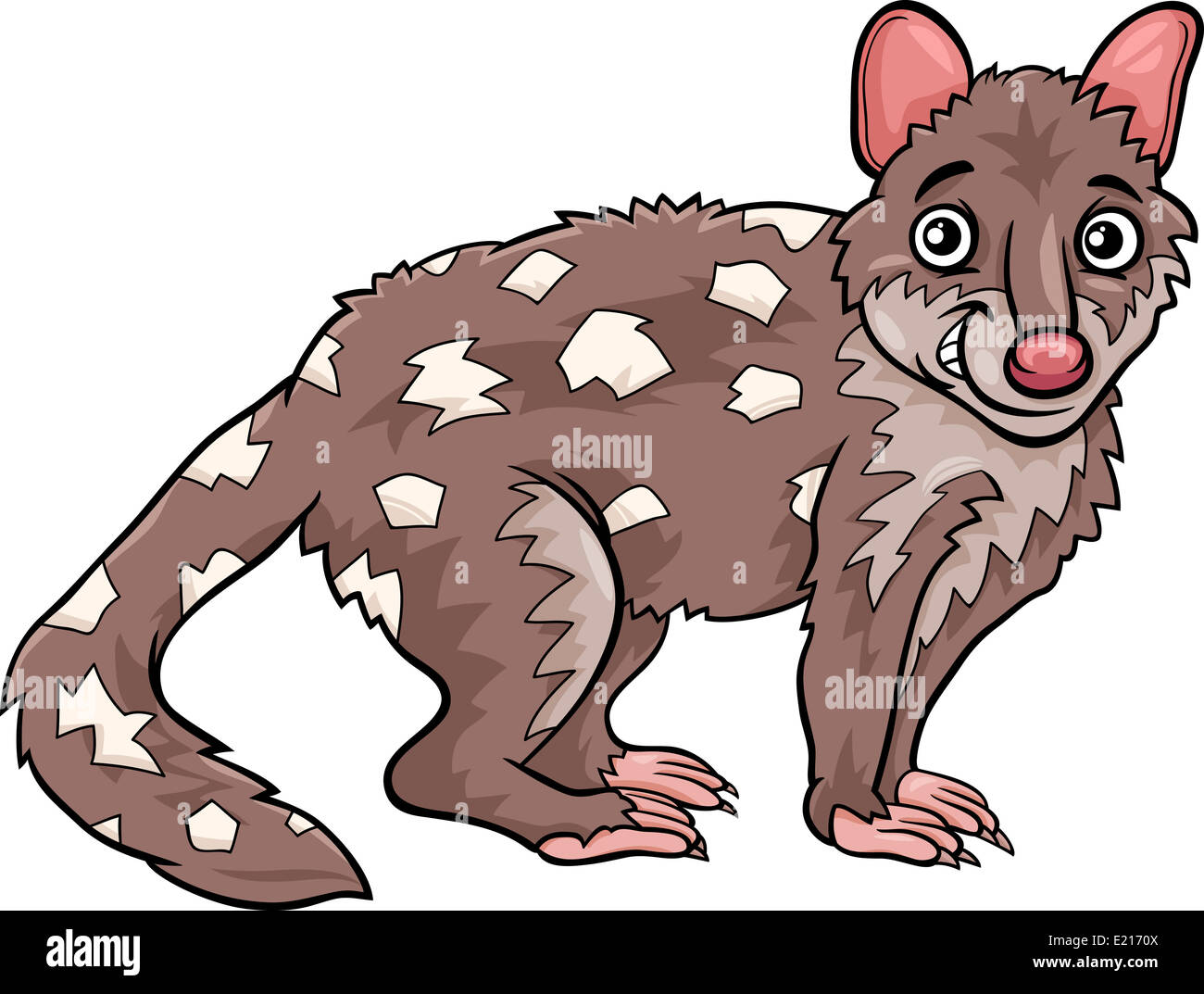 Cartoon Illustration of Cute Tiger Quoll Animal Stock Photo - Alamy