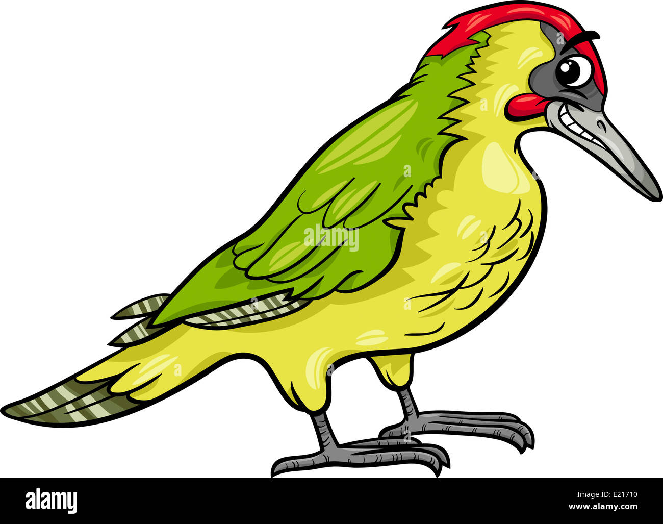 Cartoon Illustration of Funny Yaffle Bird or European Green Woodpecker ...