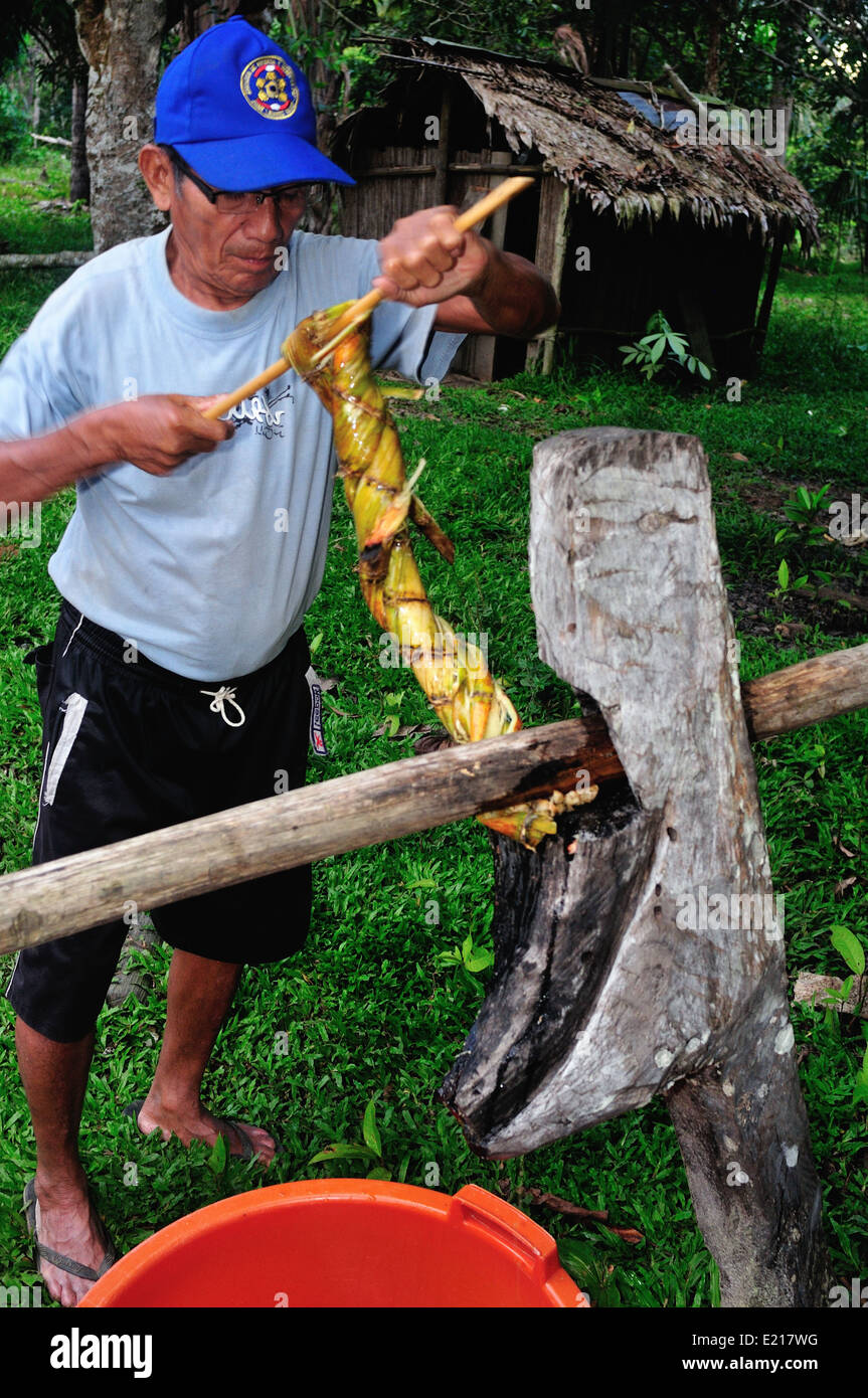 Trapiche - Make Guarapo ( Sugarcane juice ) in Industria - PANGUANA ...