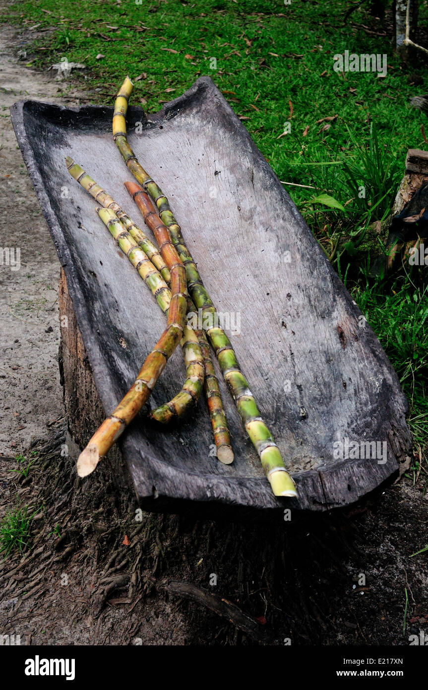 Trapiche - Make Guarapo ( Sugarcane juice ) in Industria - PANGUANA ...