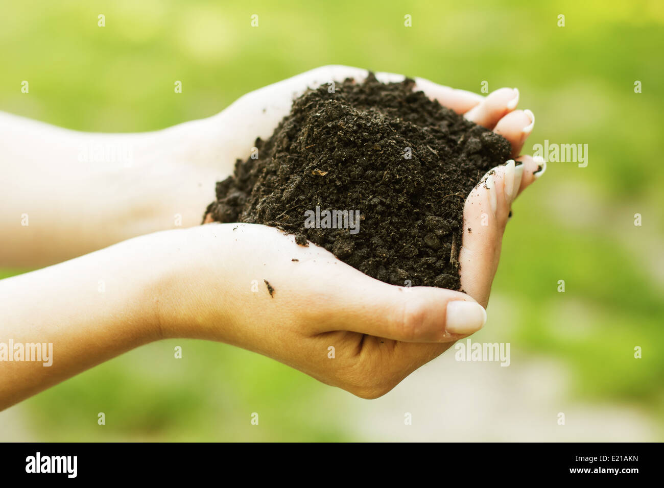 Human hands holding a handful of soil Stock Photo - Alamy