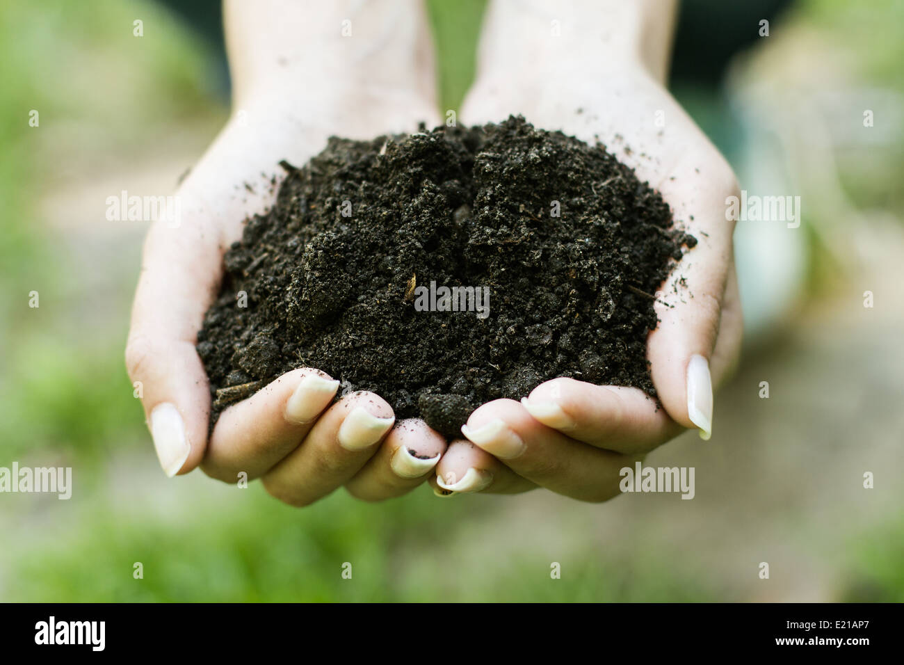 Human hands holding a handful of soil Stock Photo - Alamy