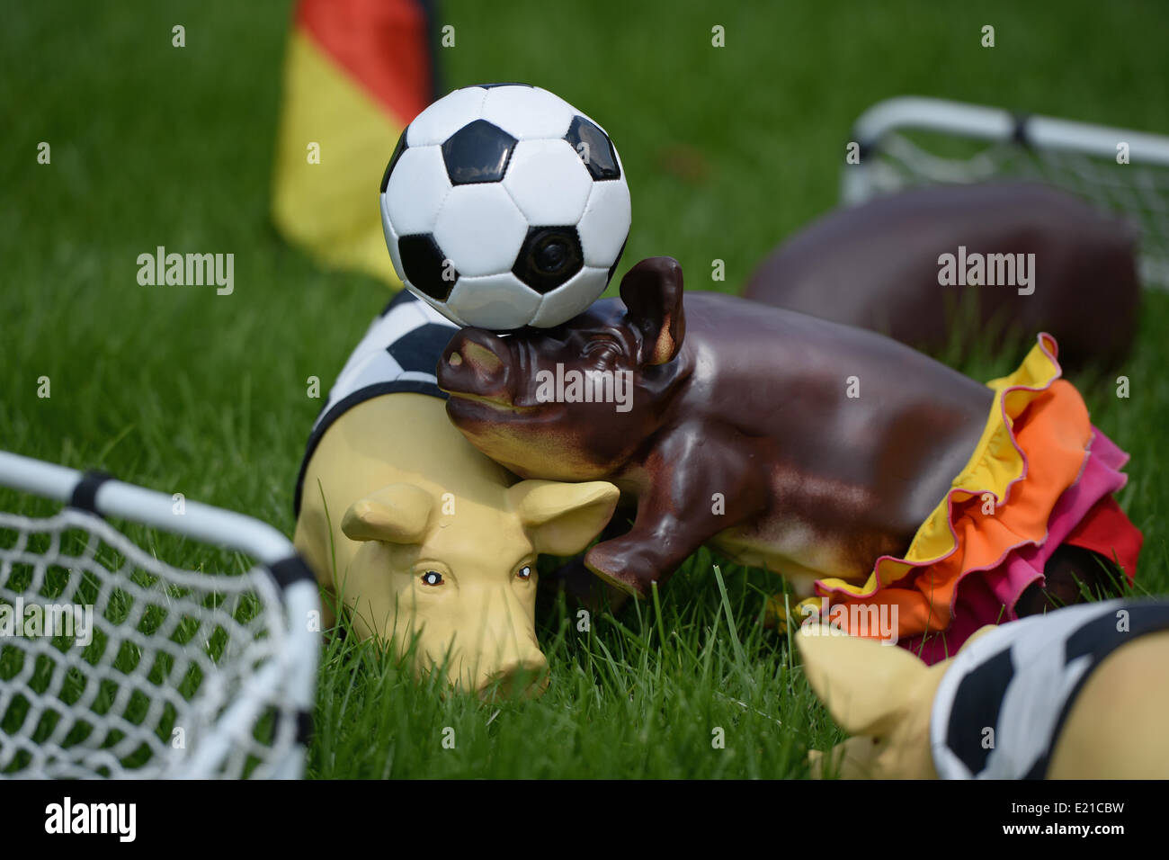 Meckenbeuren, Germany. 12th June, 2014. Plastic pigs 'play' soccer on ...