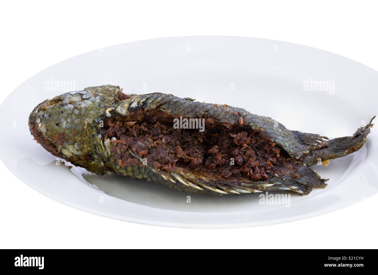 Fried climbing perch fish on dish isolated on white background Stock ...