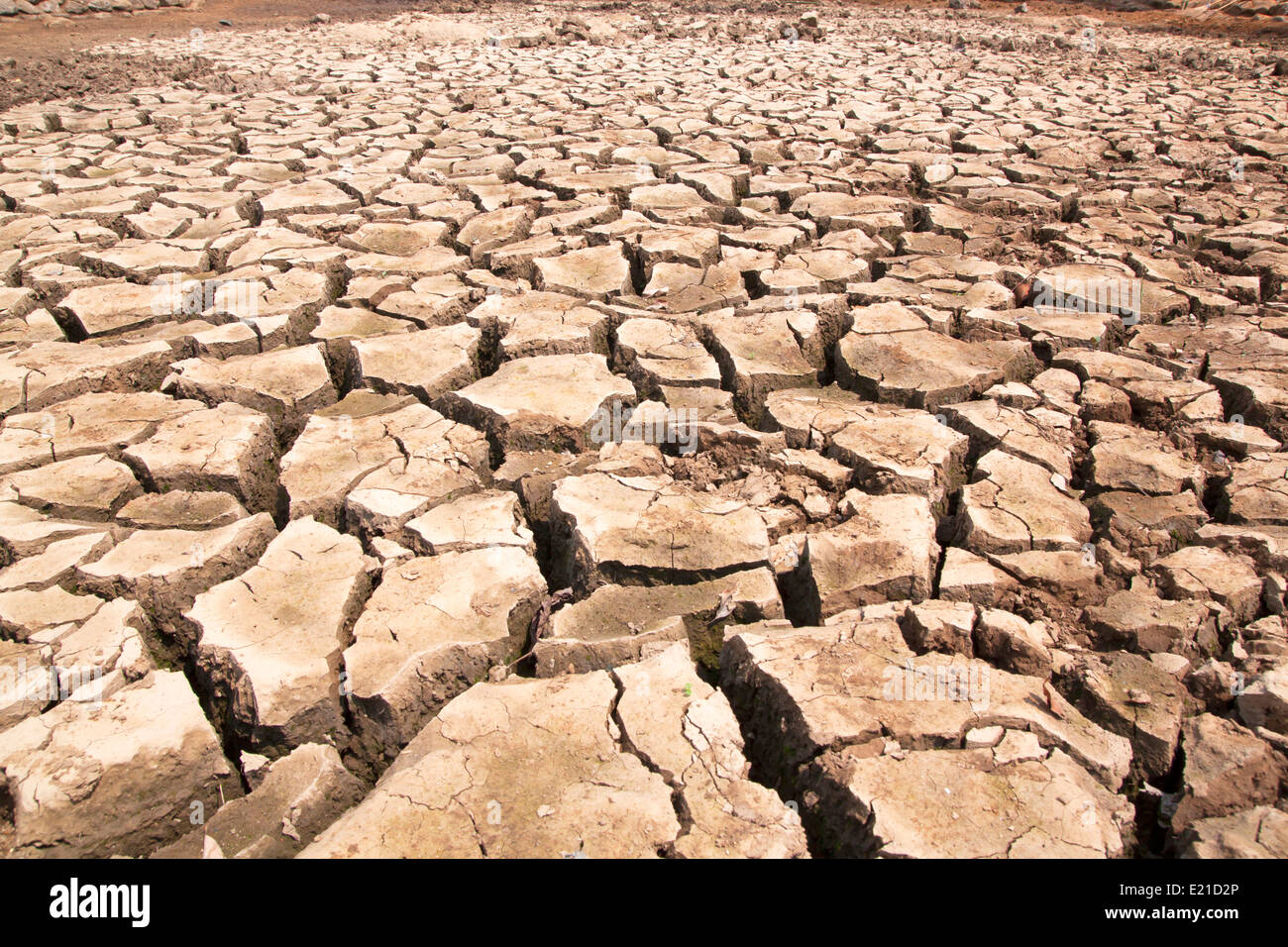 Fissures Stock Photos & Fissures Stock Images - Alamy