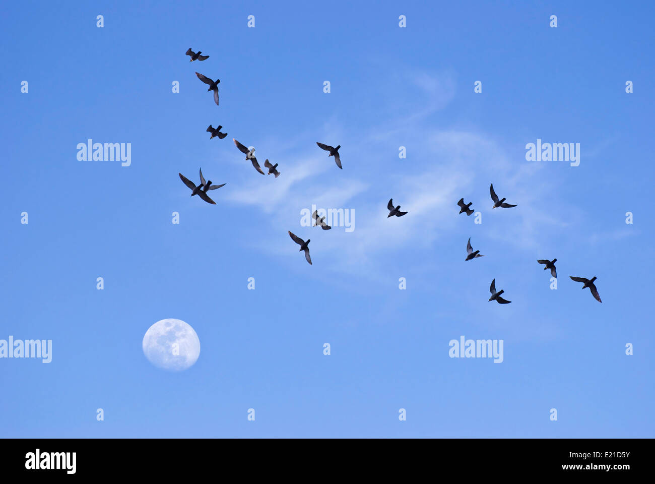 Flying to the moon hi-res stock photography and images - Alamy
