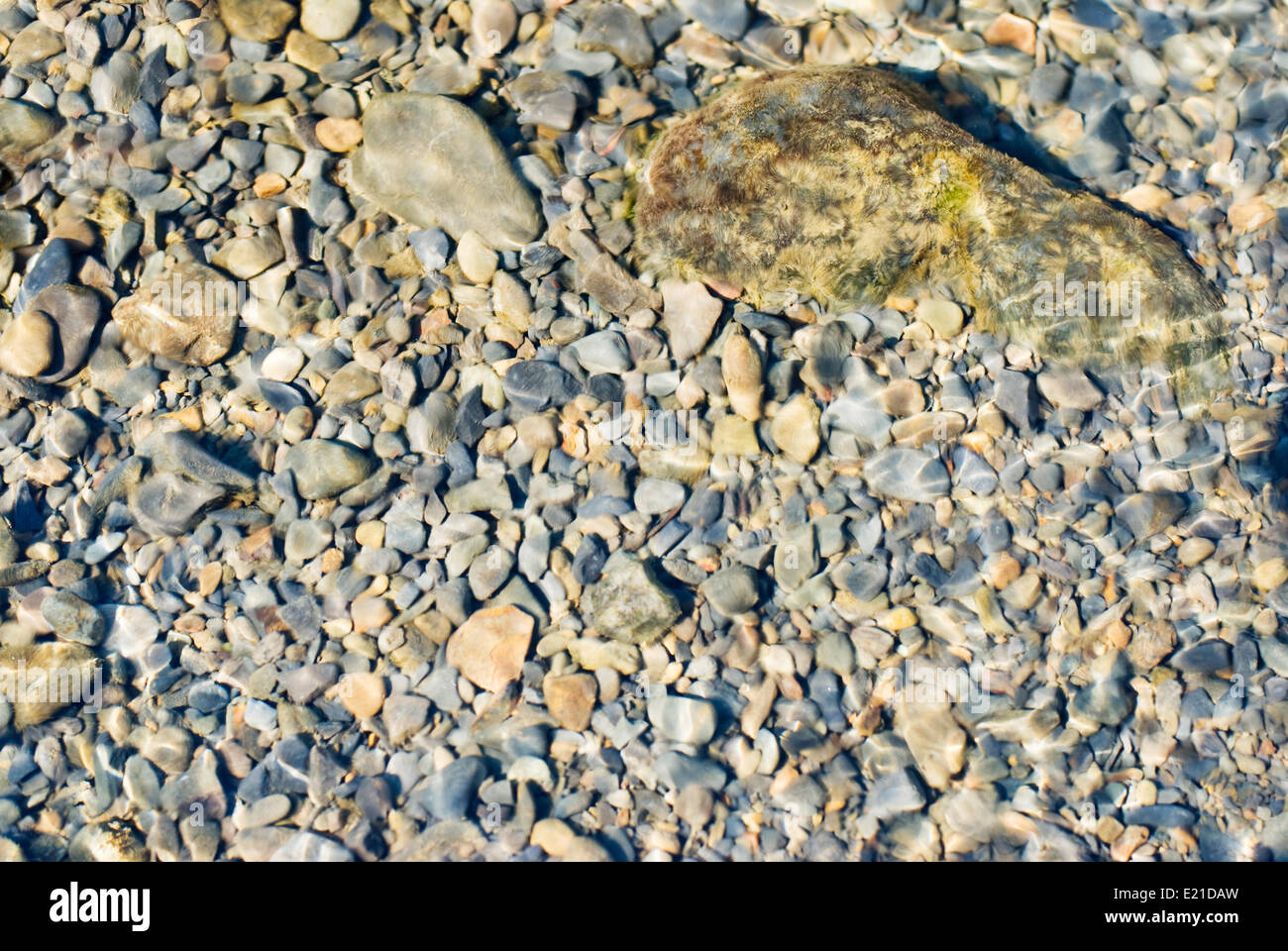 Pebbles Underwater Stock Photos & Pebbles Underwater Stock Images - Alamy