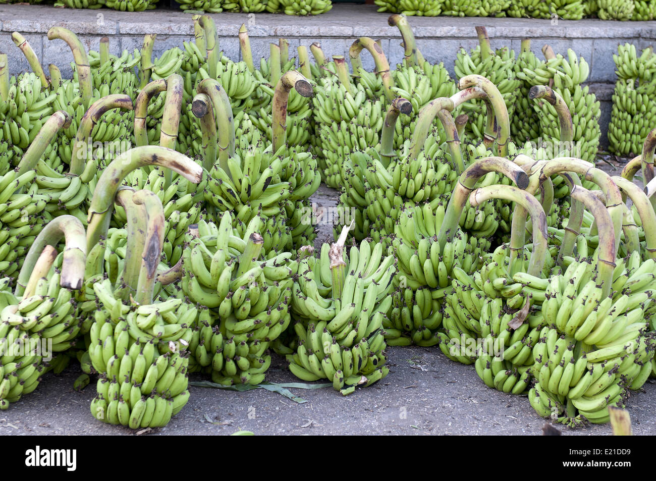 Line of bananas hi-res stock photography and images - Alamy