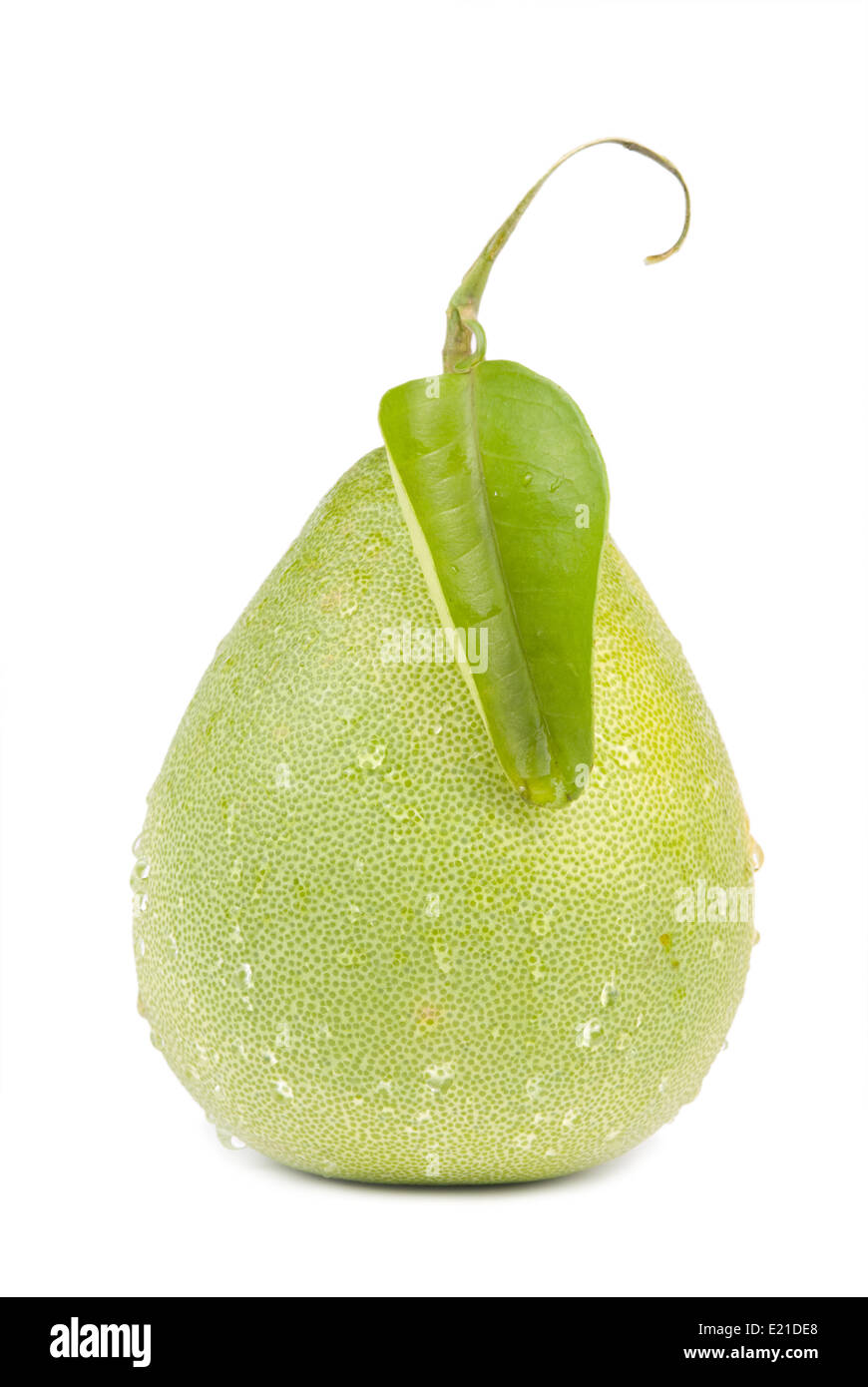 Fresh shaddock fruit with green leaf Stock Photo - Alamy