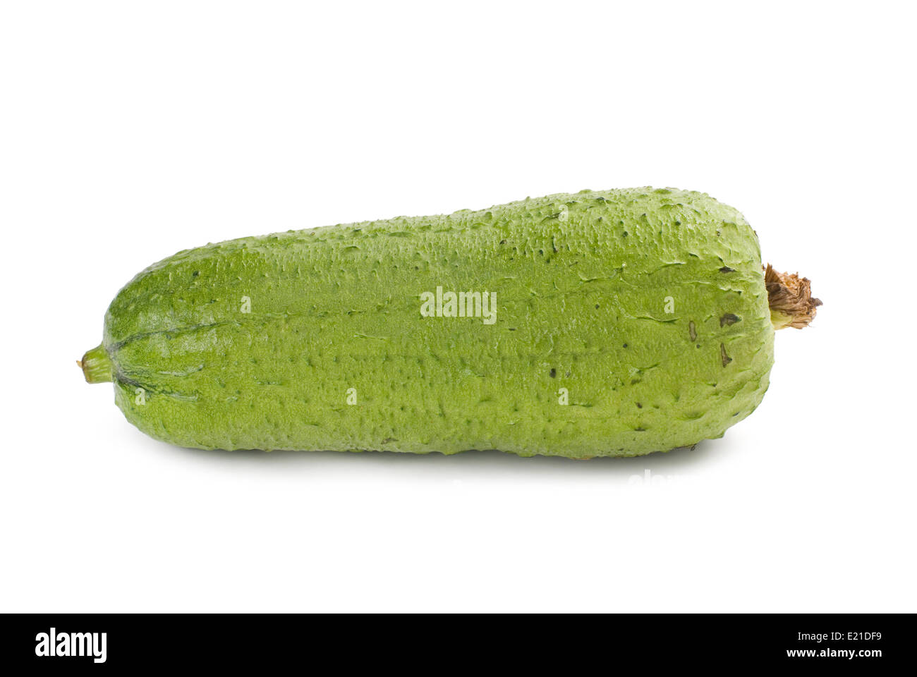Asian-loofah, popular vegetable in china Stock Photo - Alamy