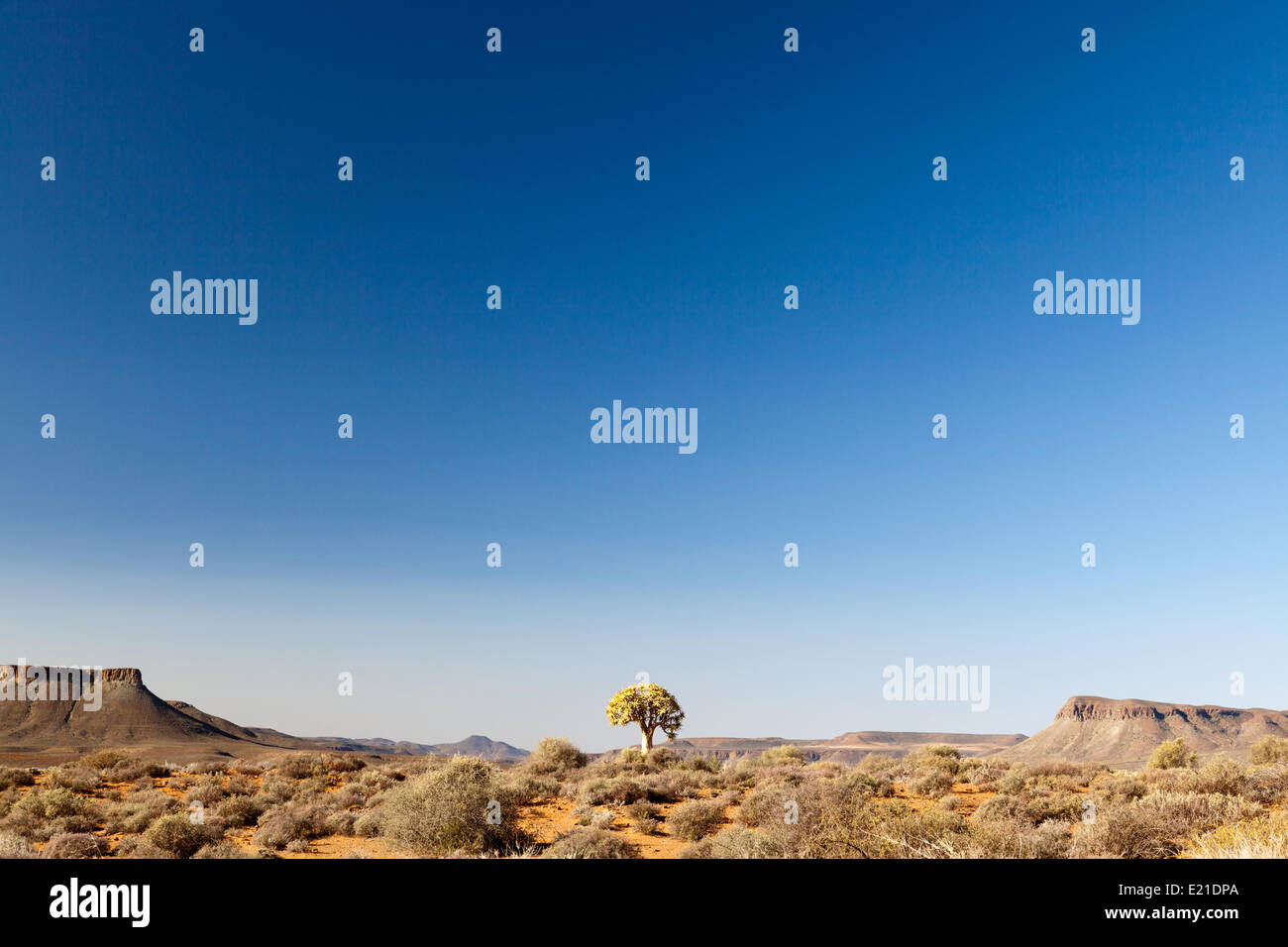 Tropical forest landscape dry season hi-res stock photography and ...