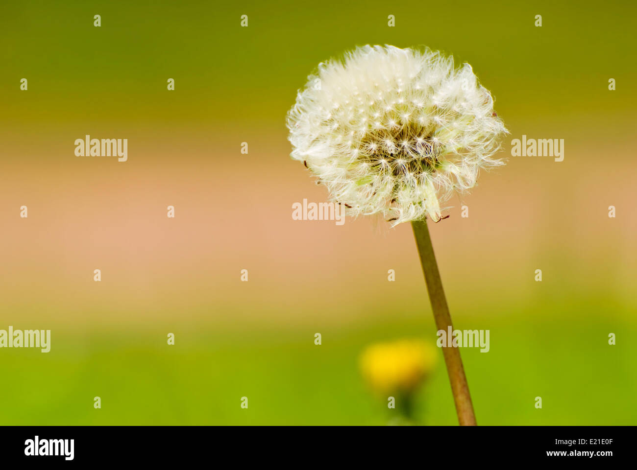 Unfolding High Resolution Stock Photography and Images - Alamy