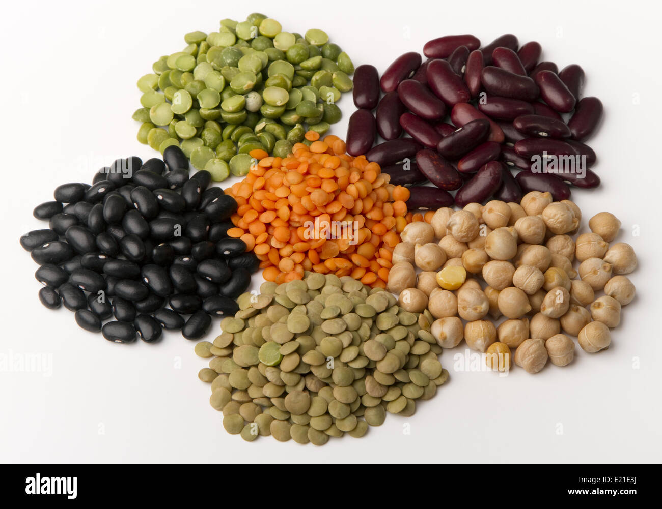 Different species hi-res stock photography and images - Alamy