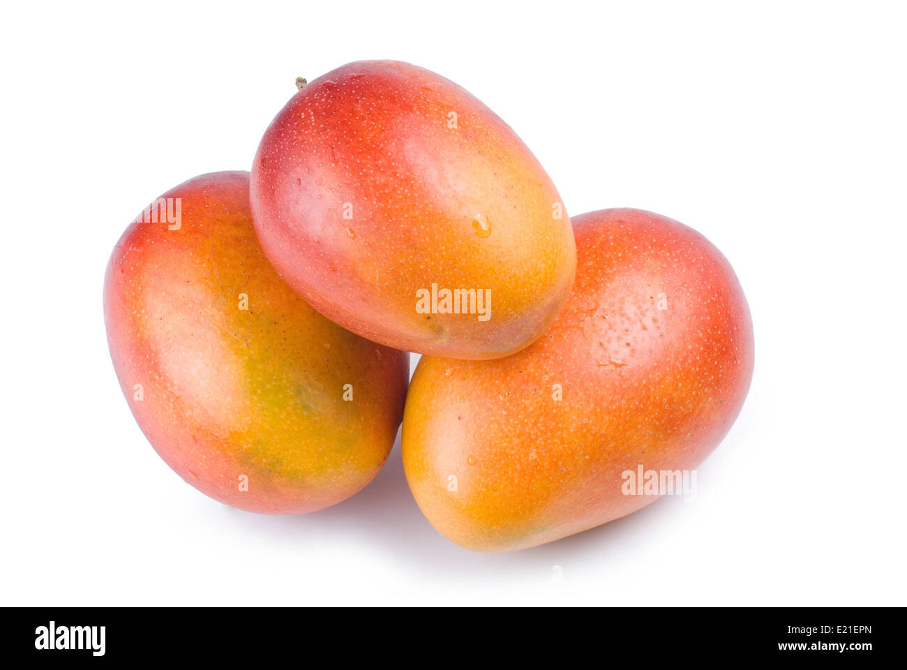 Isolated mango fruit Stock Photo - Alamy