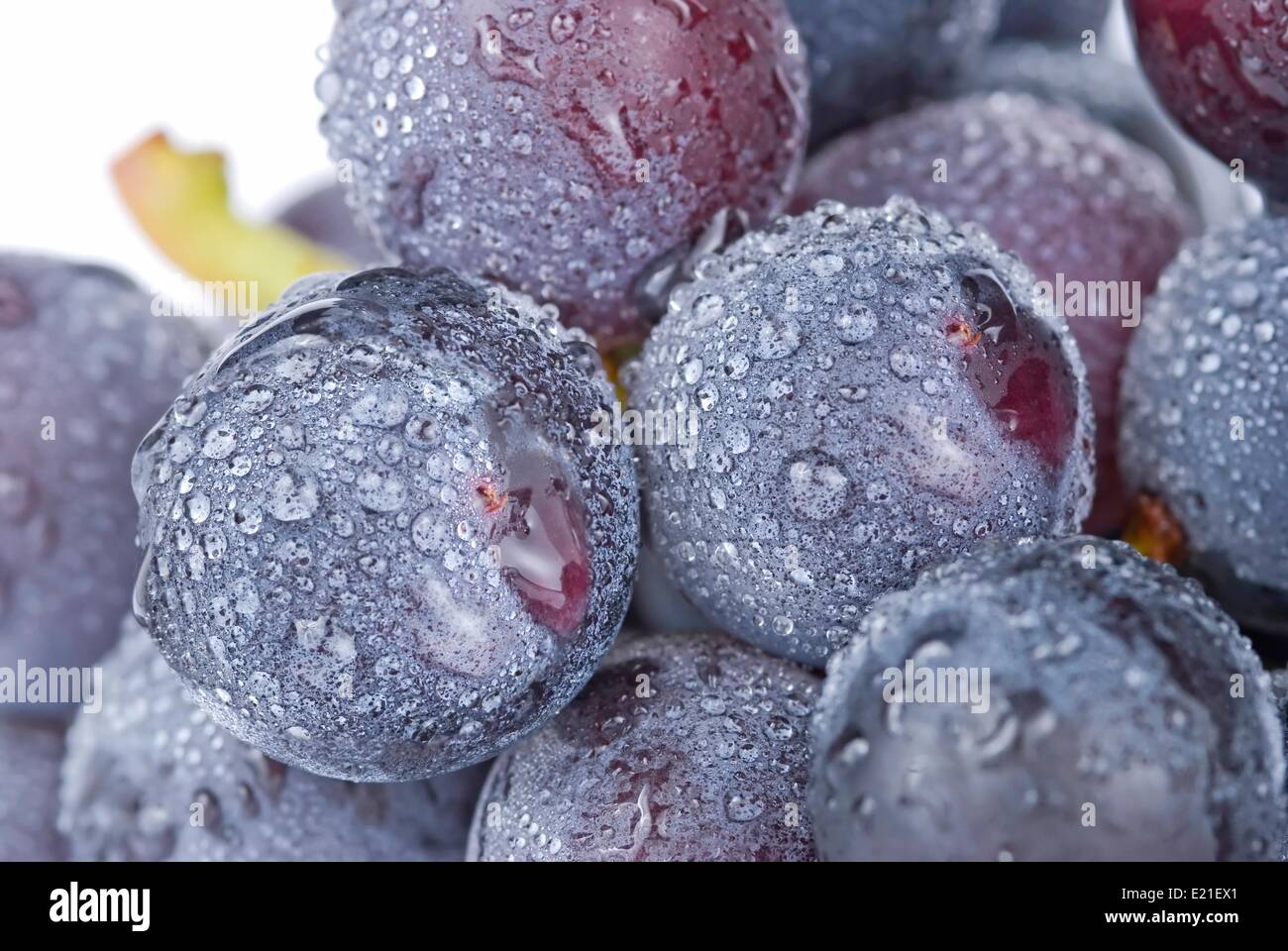Grapes with drops, fruit Stock Photo - Alamy