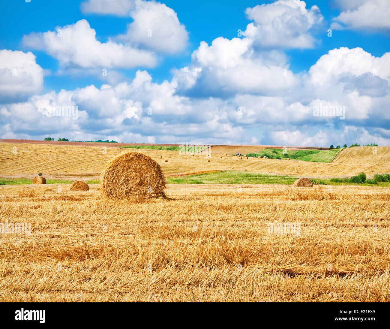 Farm farming food ag agriculture corn hi-res stock photography and ...