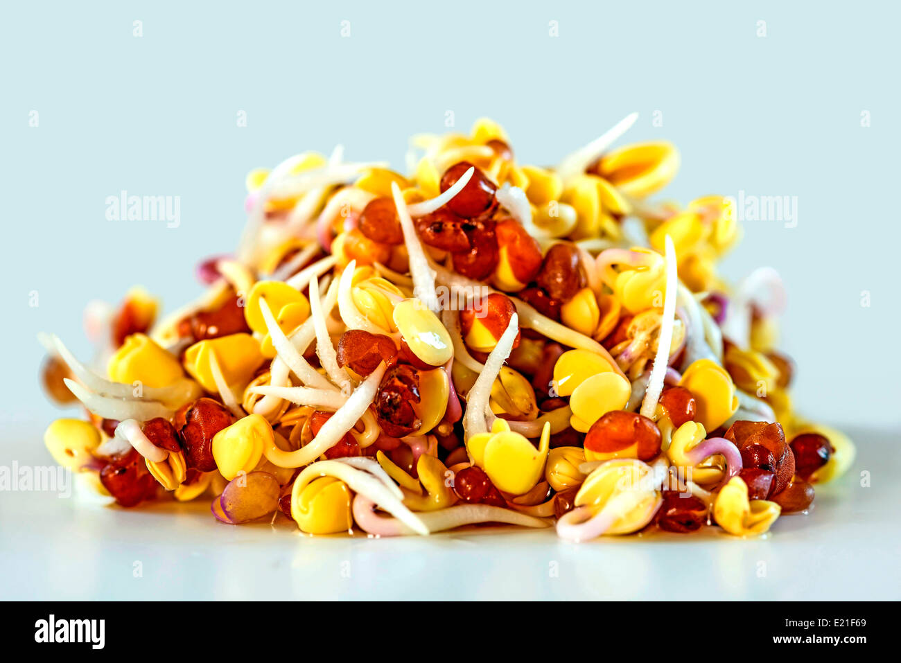 Radish sprouts hi-res stock photography and images - Alamy