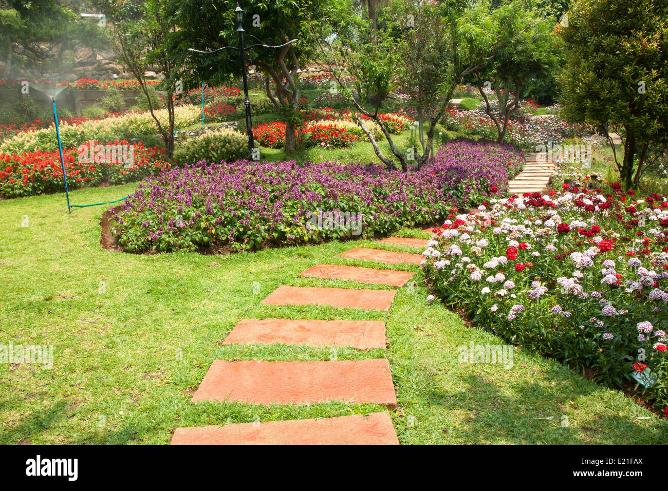 Ornamental Public Gardens and Bushes greenery and flowers Stock Photo ...