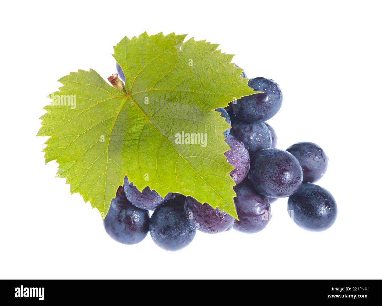 Purple and white grapes with leaves Cut Out Stock Images & Pictures - Alamy