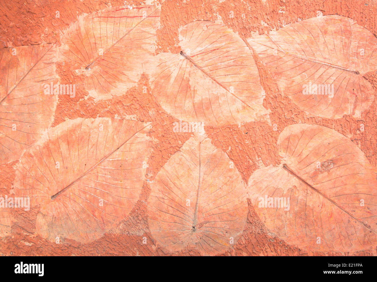marks of leaf on the concrete pavement Stock Photo - Alamy