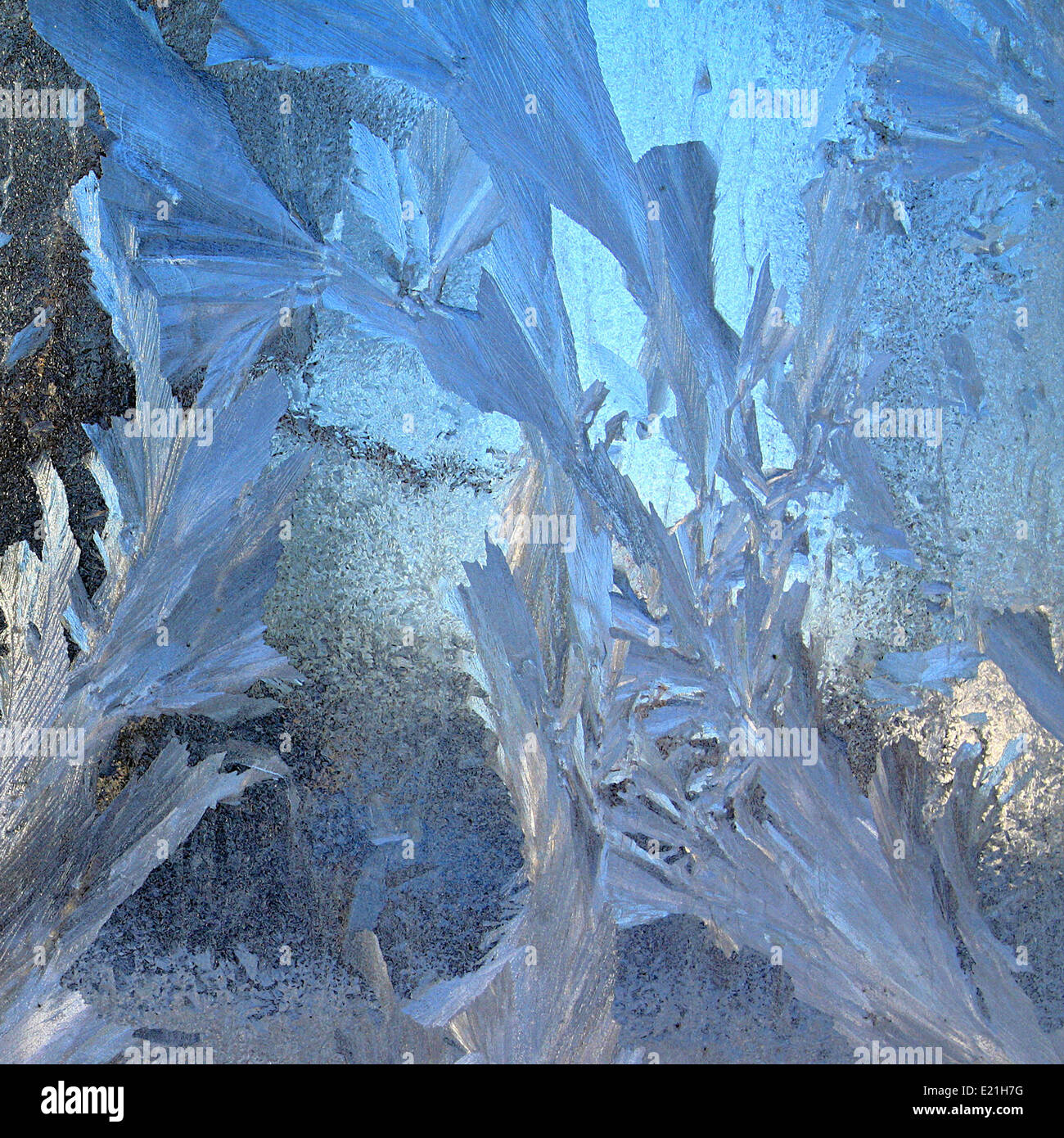 ice on window Stock Photo - Alamy