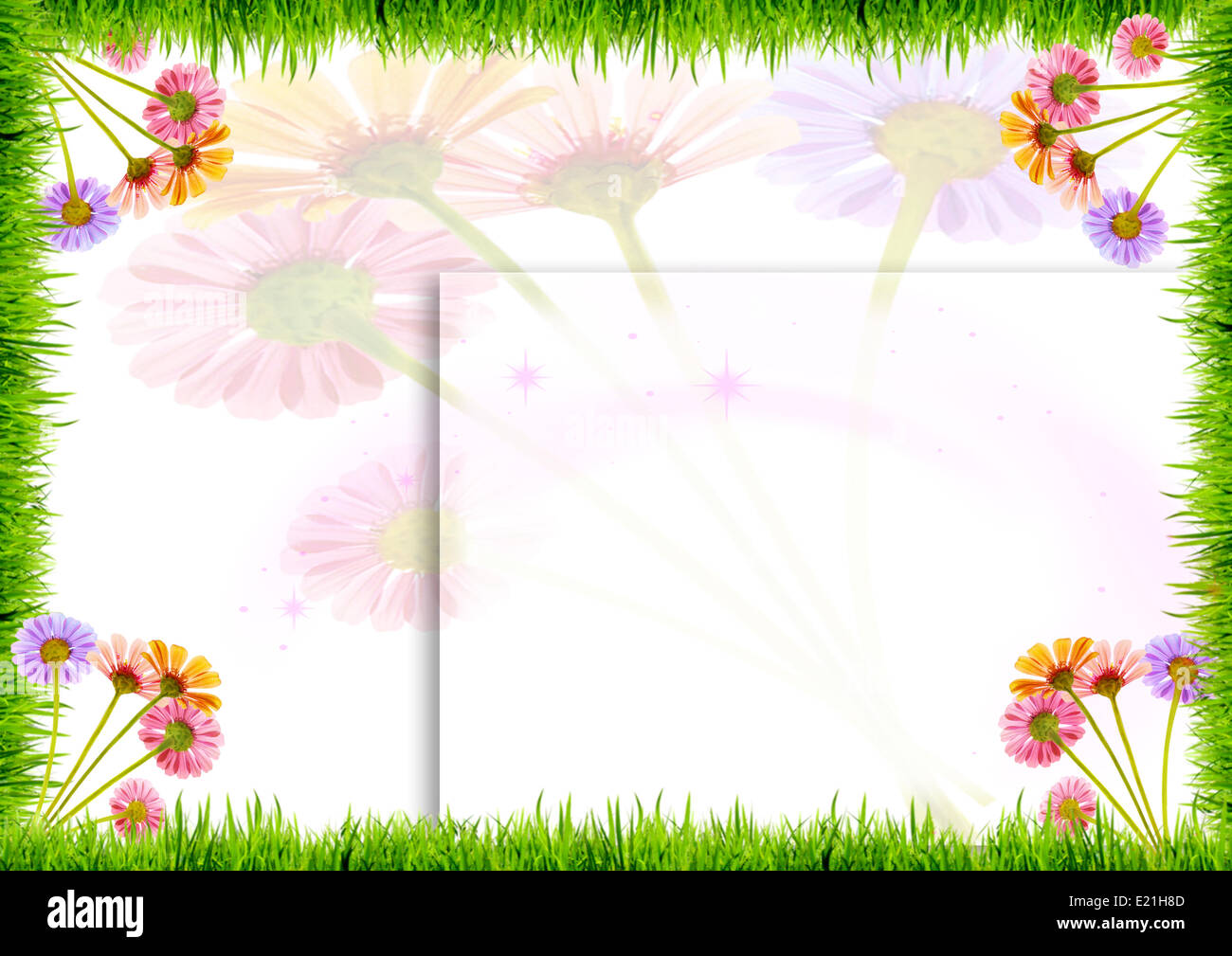 flowers and grass on a white background Stock Photo - Alamy