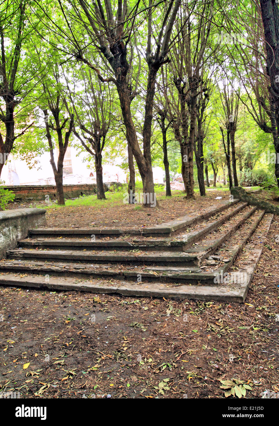 aging stairway in spring park Stock Photo - Alamy