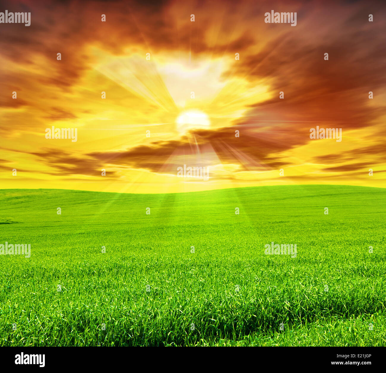 Creative sunset hi-res stock photography and images - Alamy