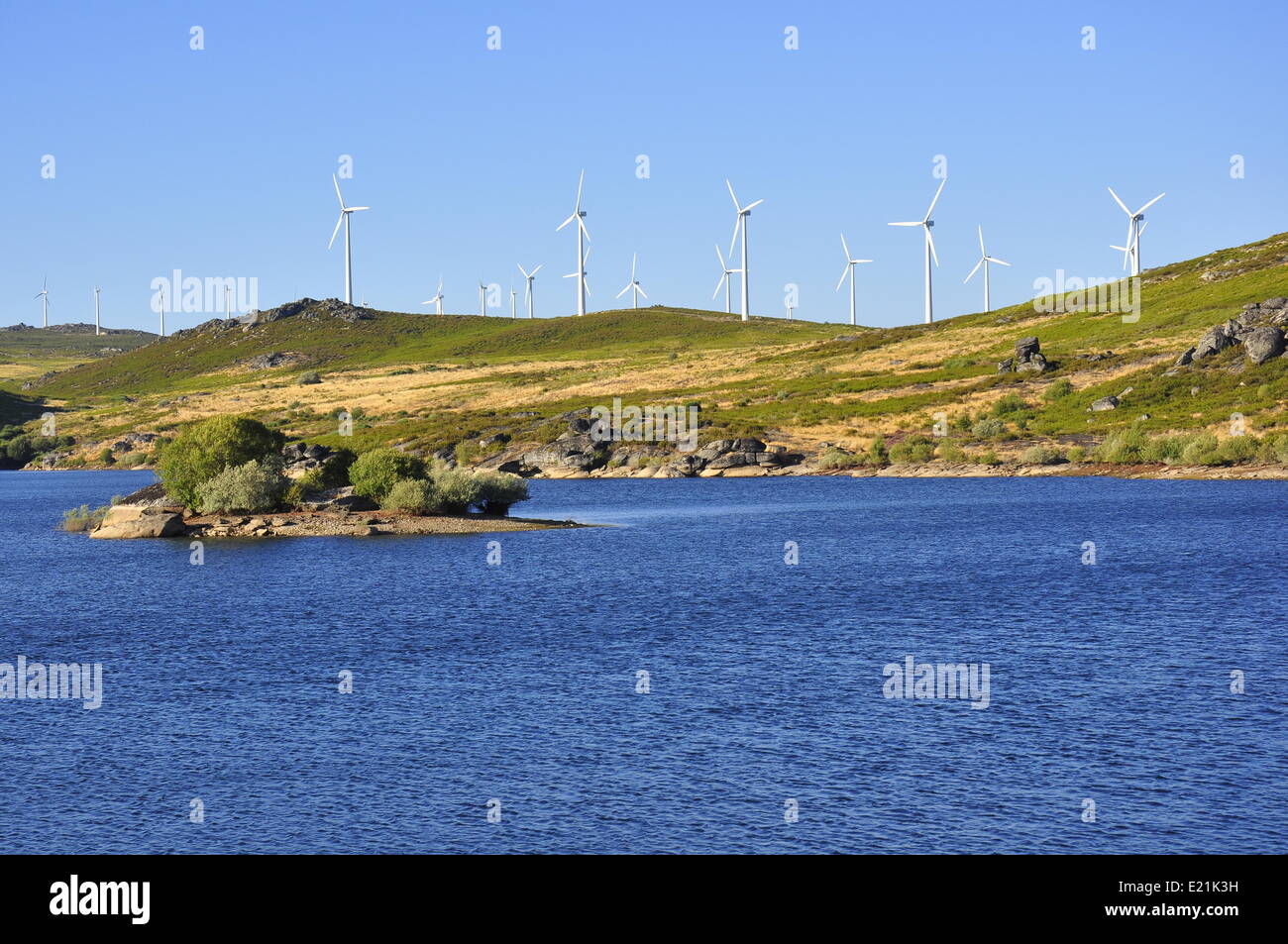 Green shore power hi-res stock photography and images - Alamy