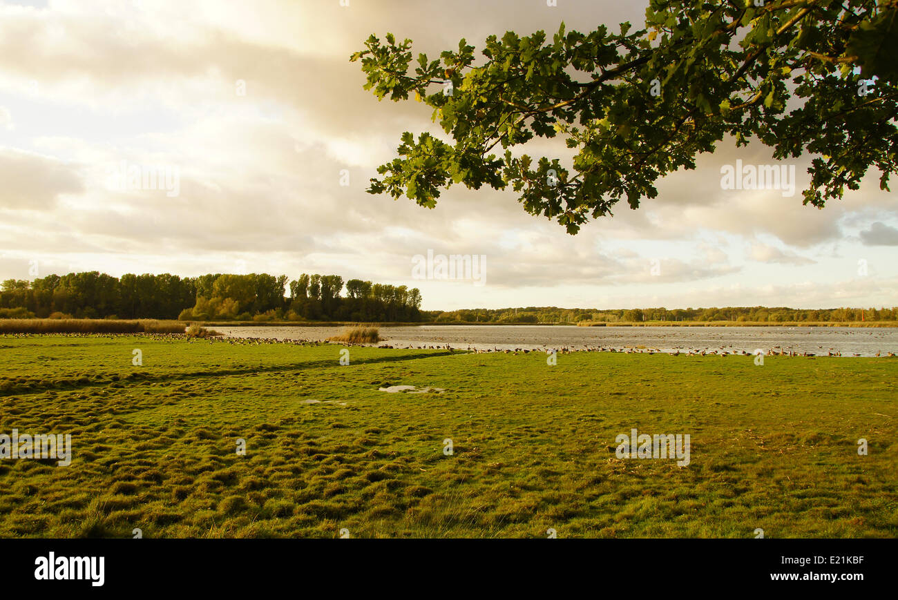 Wandering trail hi-res stock photography and images - Alamy