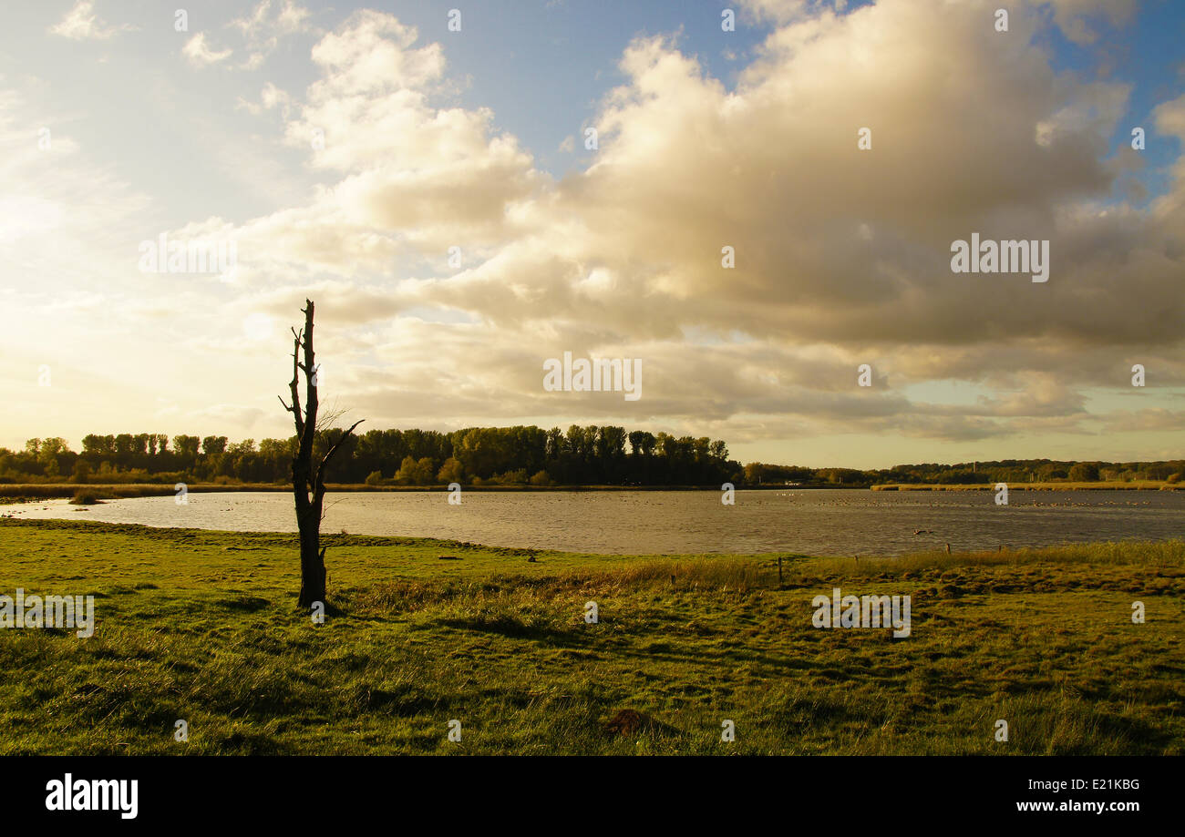 Wandering trail hi-res stock photography and images - Alamy