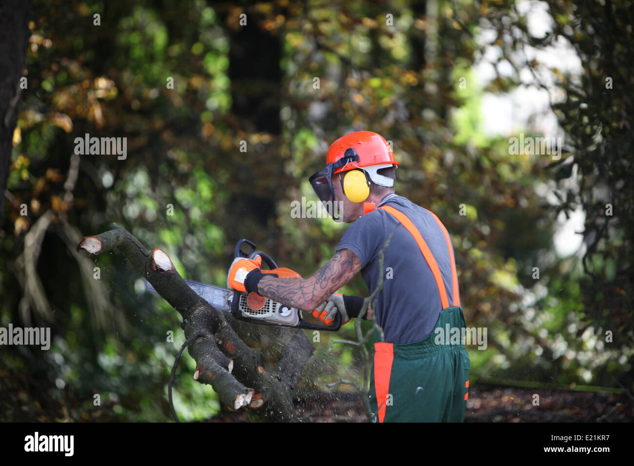 Lumberjacks hi-res stock photography and images - Alamy