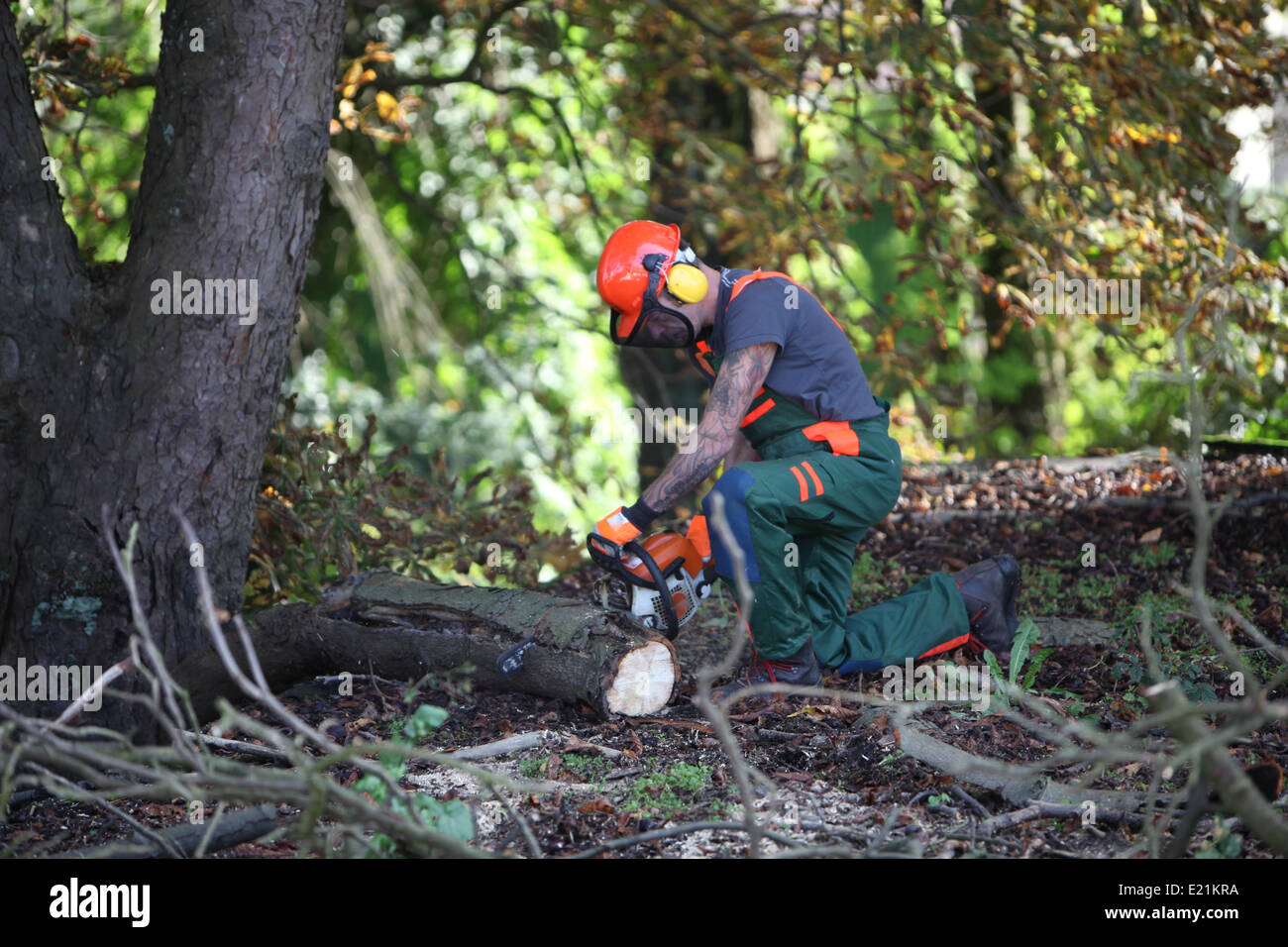 A forest worker makes wood Stock Photo - Alamy