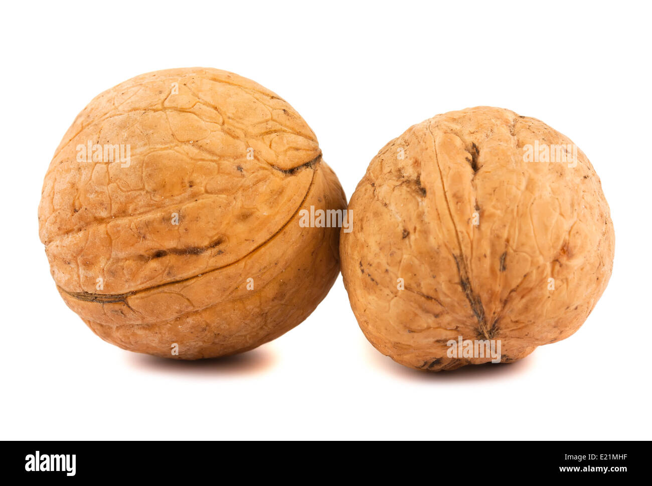 Two ripe brown walnuts Stock Photo - Alamy
