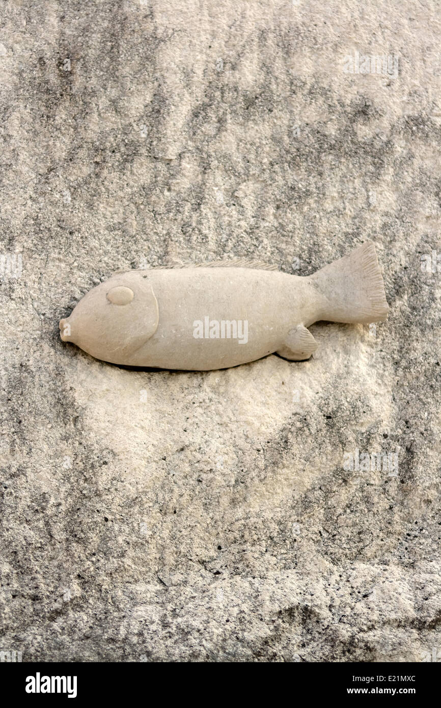 Fish in the Stone Stock Photo - Alamy
