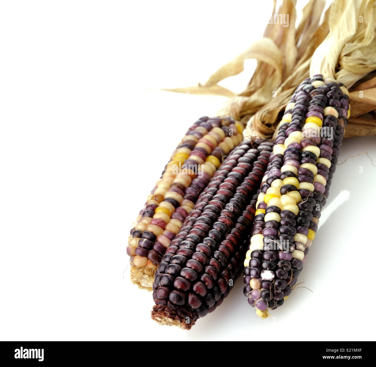 Colorful Dry Corn Stock Photo - Alamy