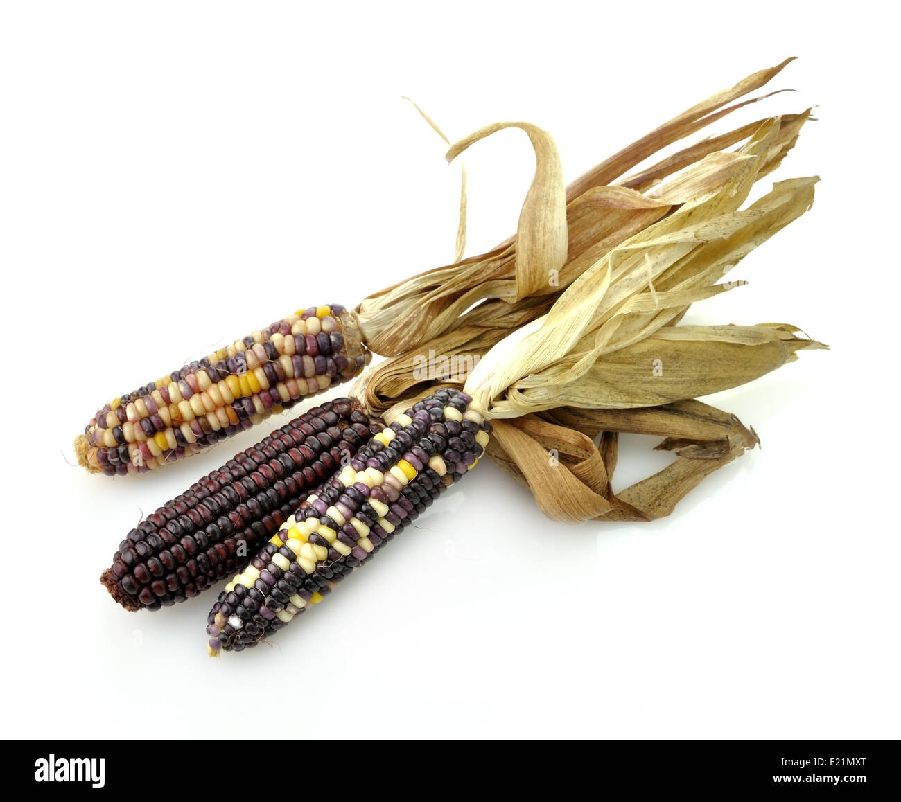 Indian corn Cut Out Stock Images & Pictures - Alamy