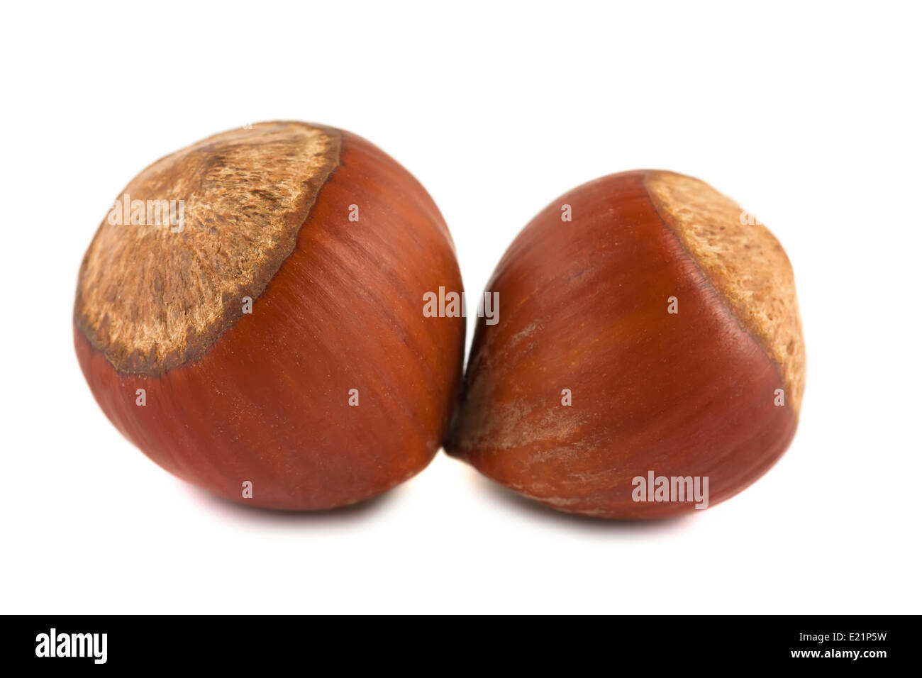 Pair of hazelnuts Stock Photo - Alamy