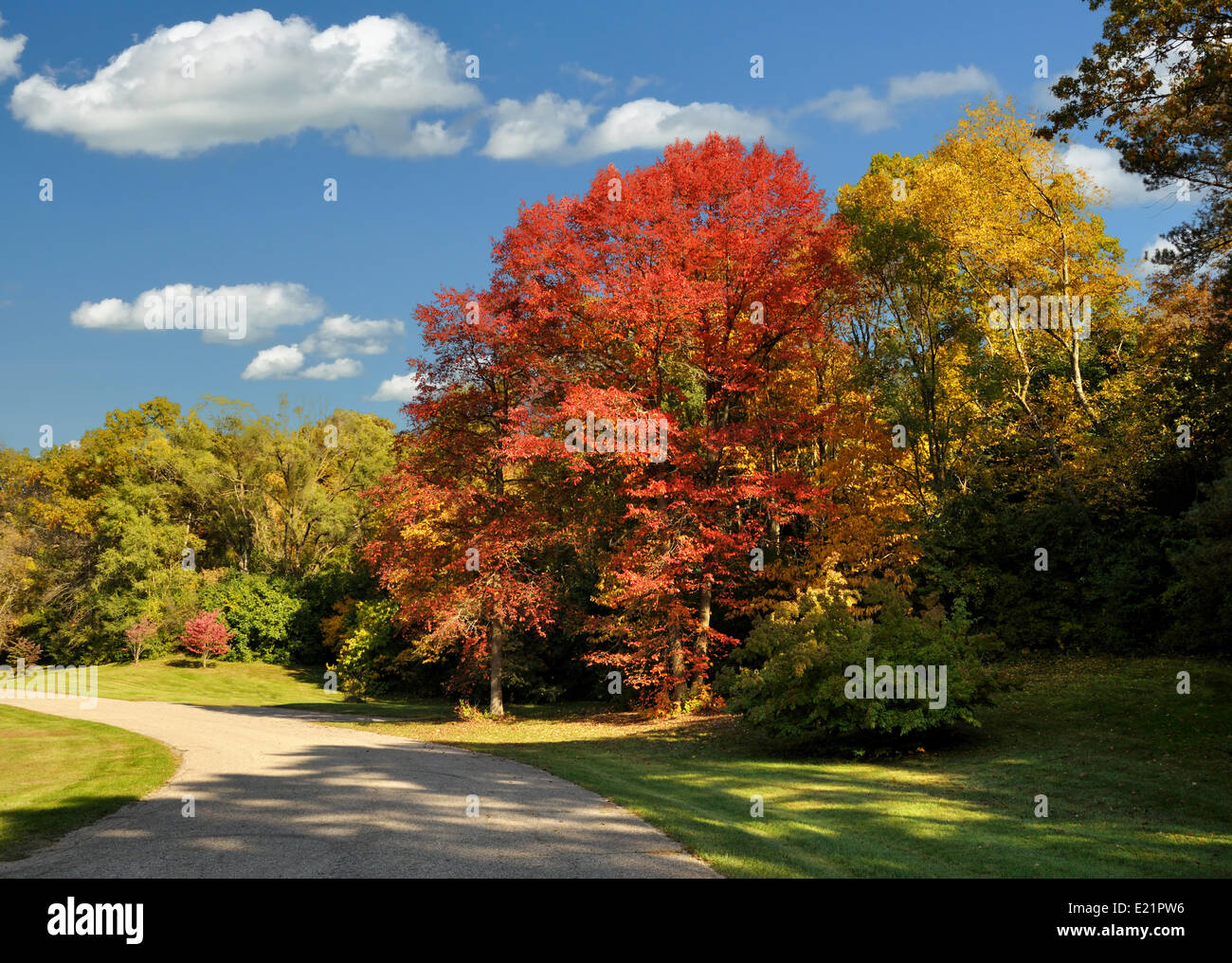 Road In The Park Stock Photo - Alamy