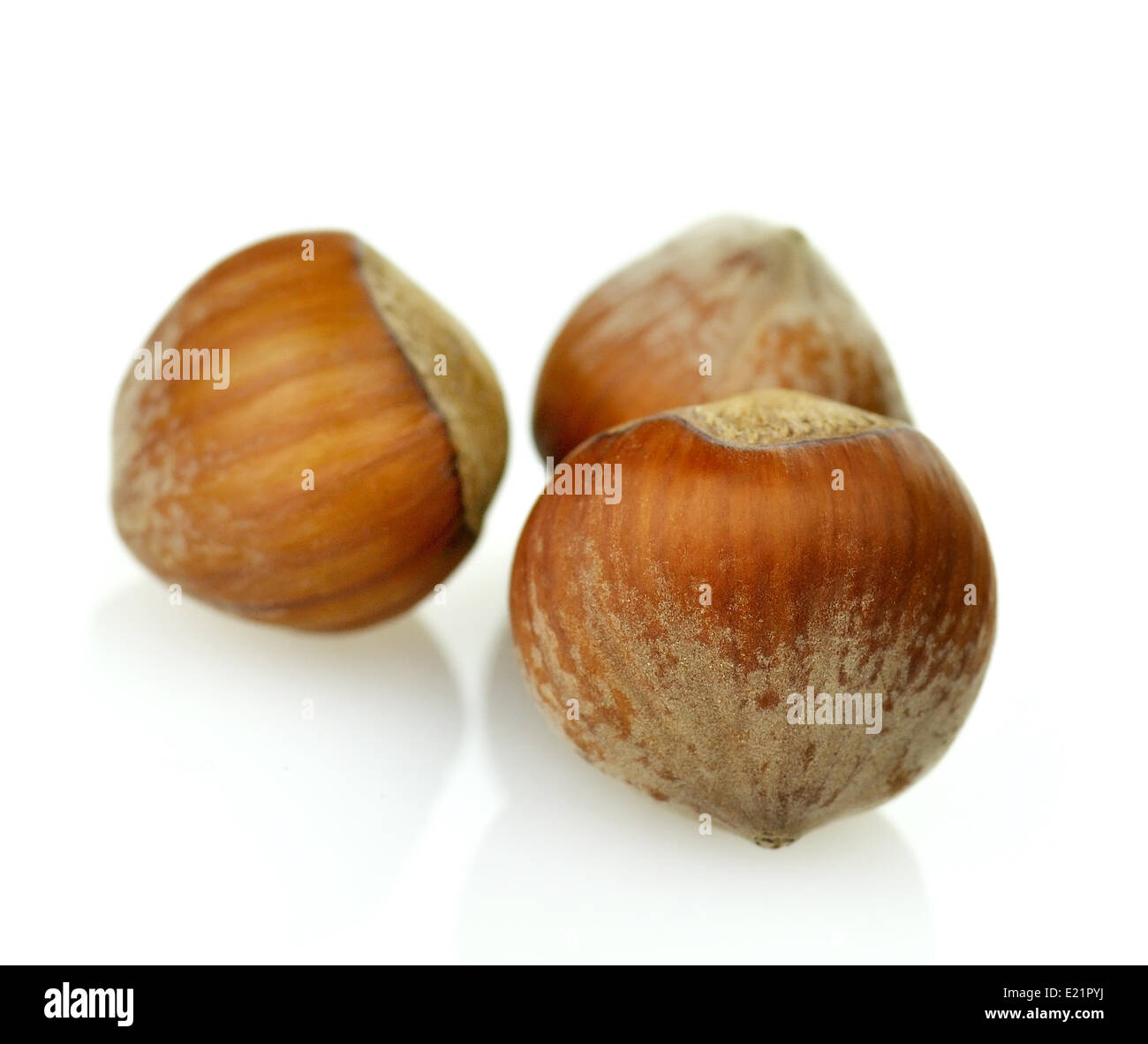 Hardness Cut Out Stock Images & Pictures - Alamy