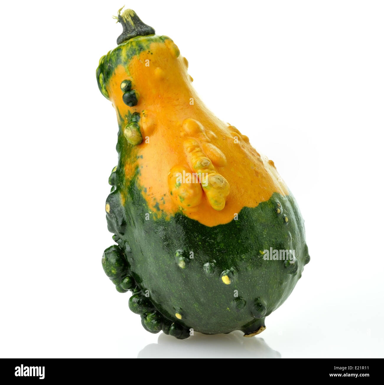 Mini gourd hi-res stock photography and images - Alamy
