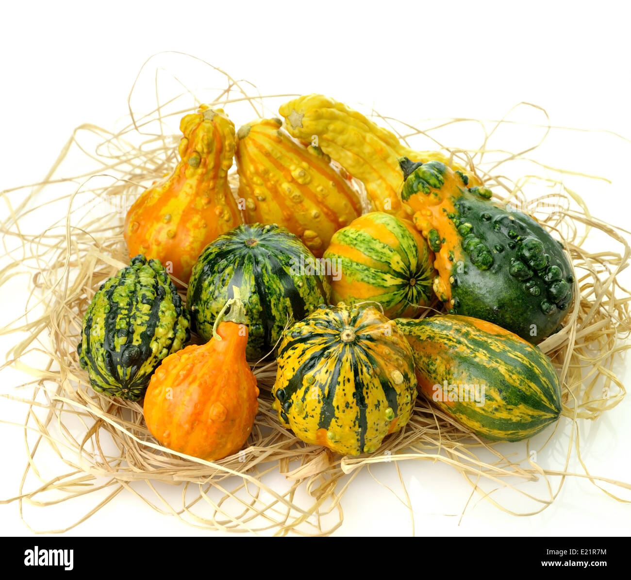 Many small gourds hi-res stock photography and images - Alamy