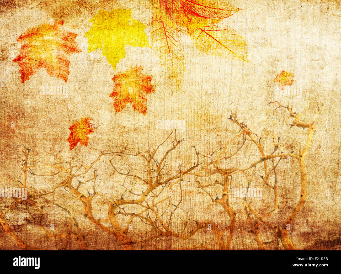 grunge abstract fall background Stock Photo - Alamy