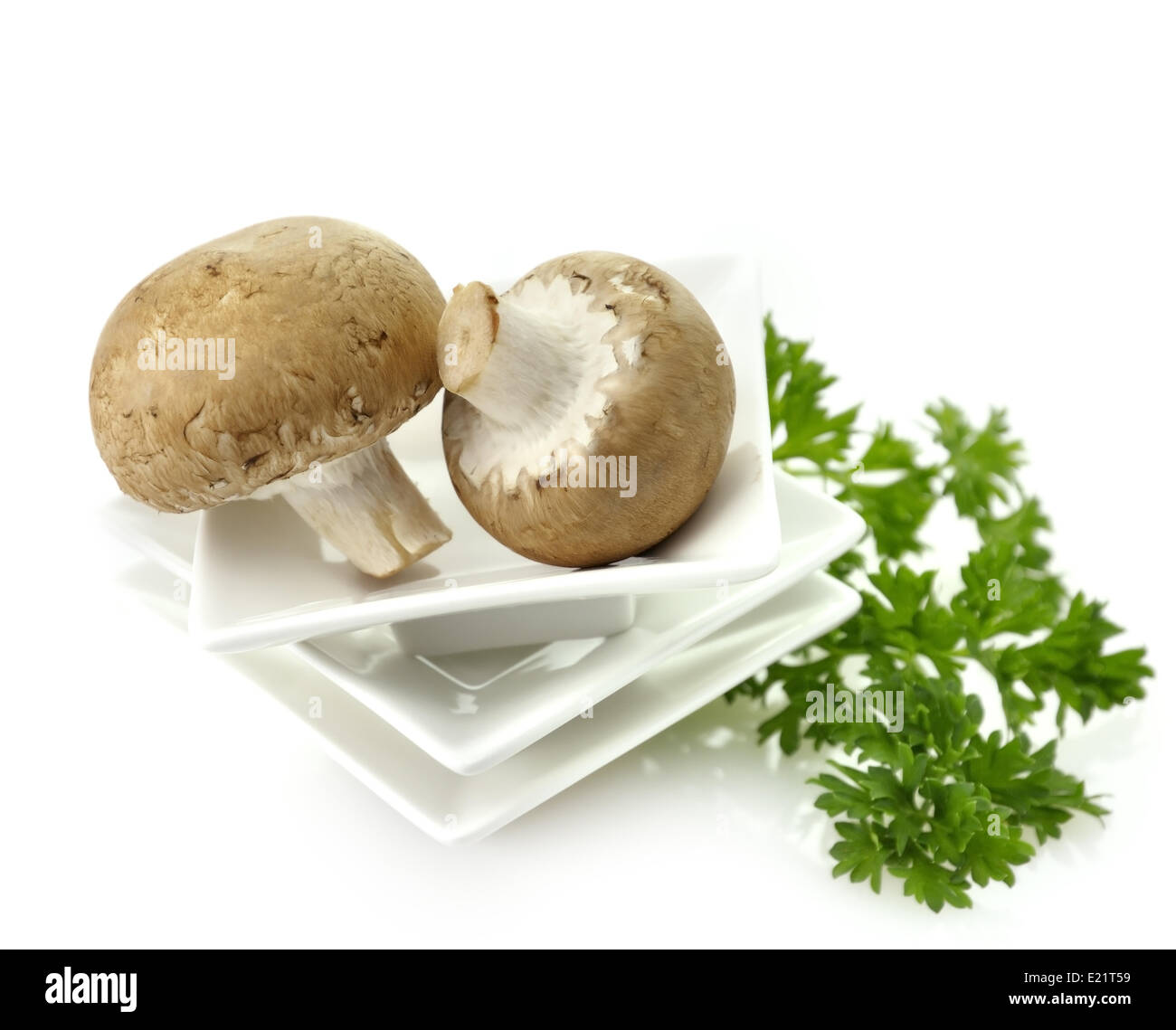 Green mushrooms hi-res stock photography and images - Alamy