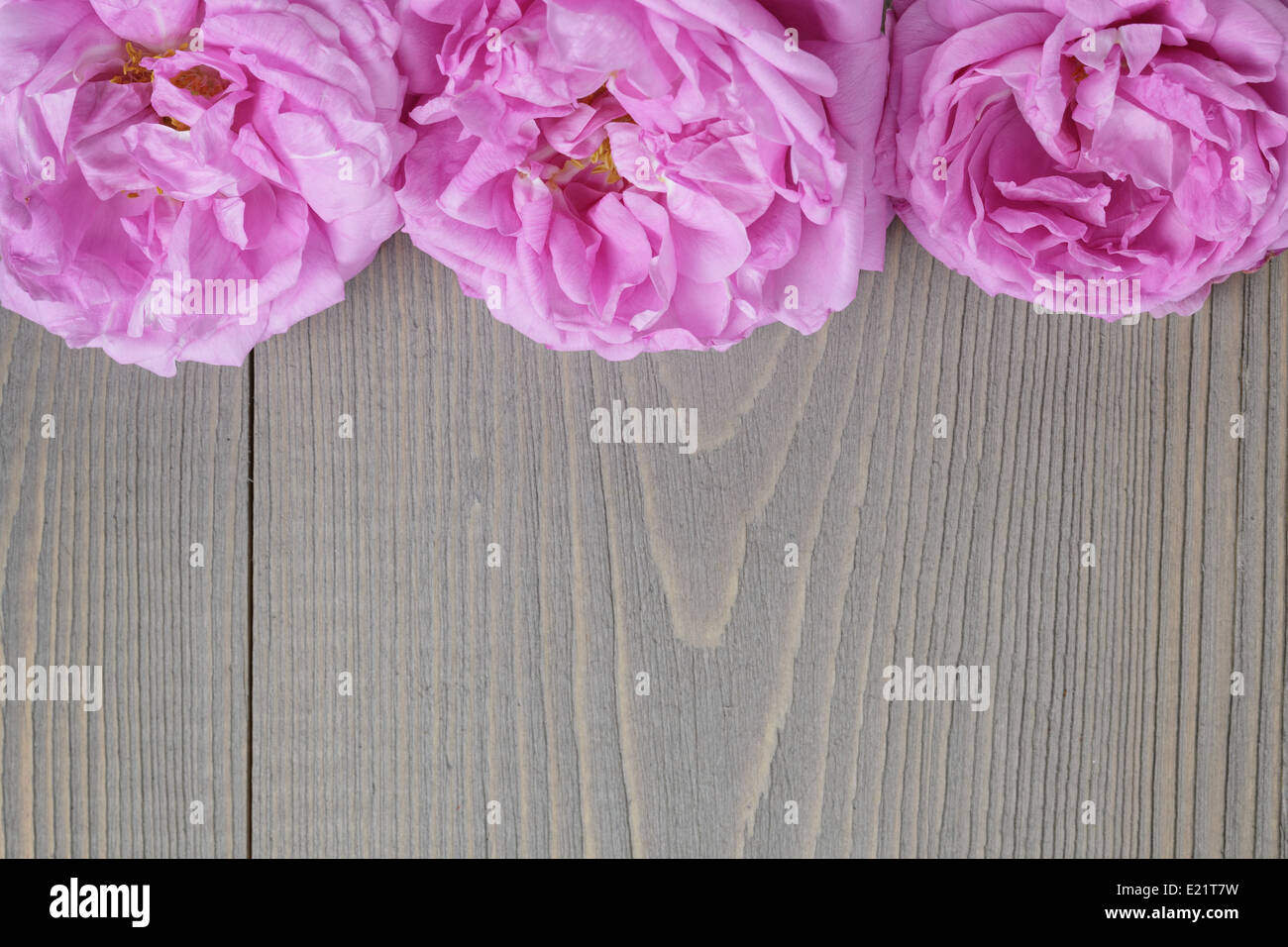 pink rose flowers, on rustic wood table Stock Photo - Alamy