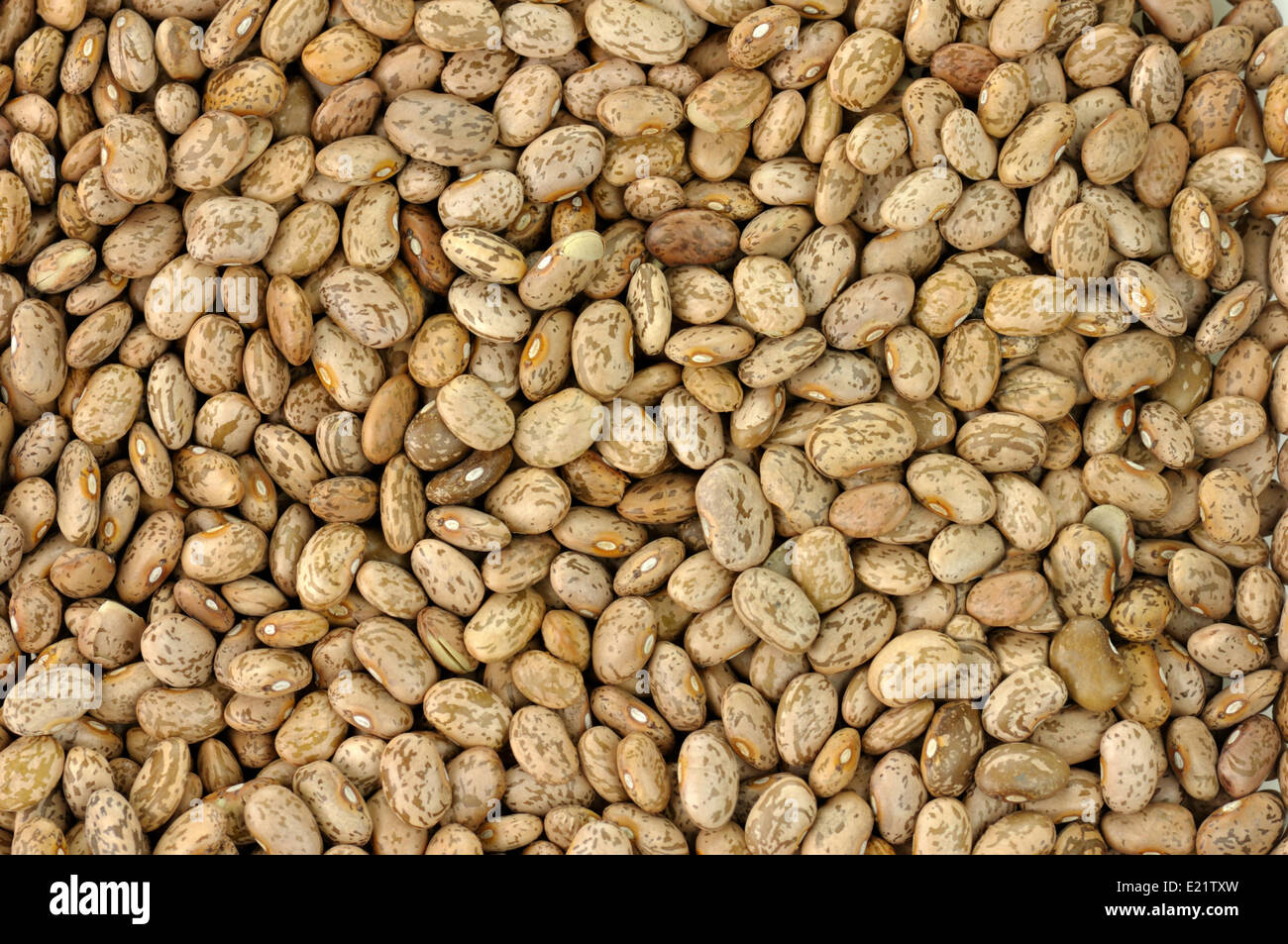 pinto beans background Stock Photo - Alamy