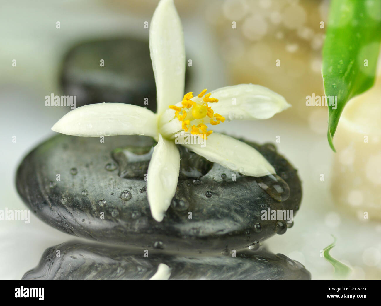 Traditional treatments hi-res stock photography and images - Alamy