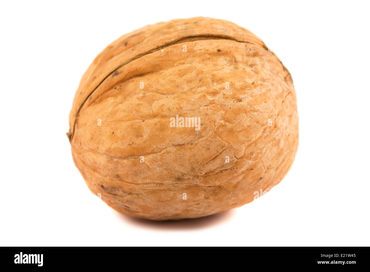 single walnut on a white background Stock Photo - Alamy