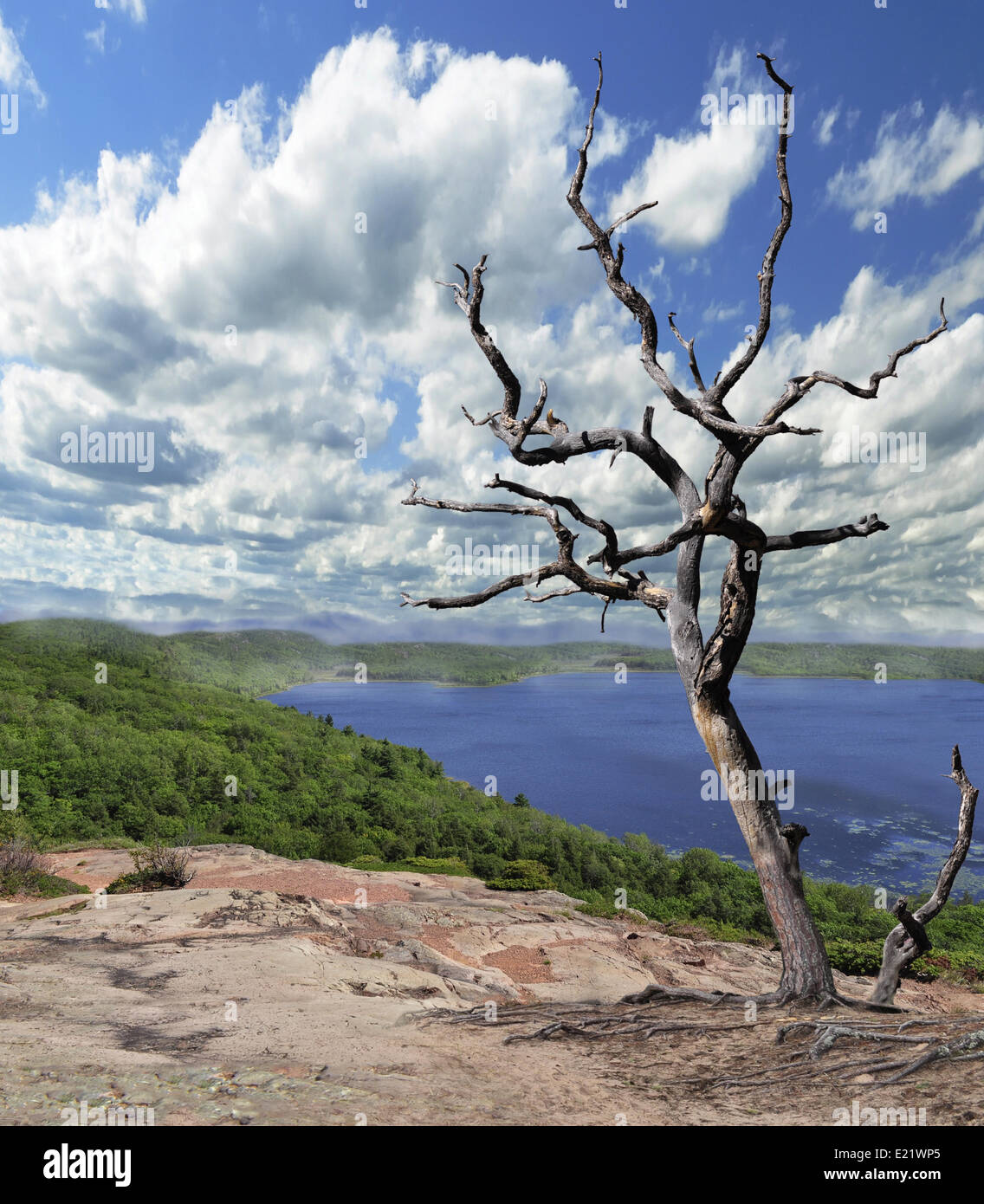 Michigam hi-res stock photography and images - Alamy